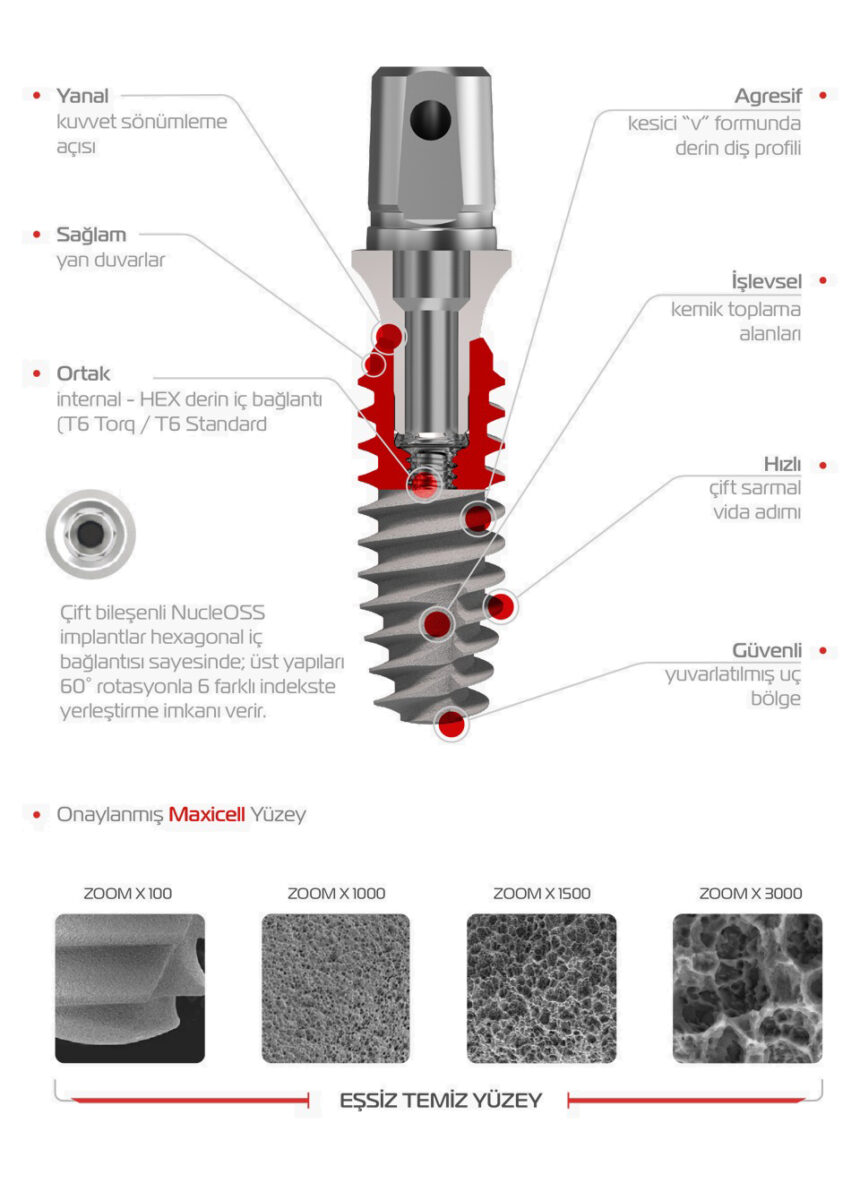 T6 Torq Kemik Seviyesi İmplant – BMP Dental